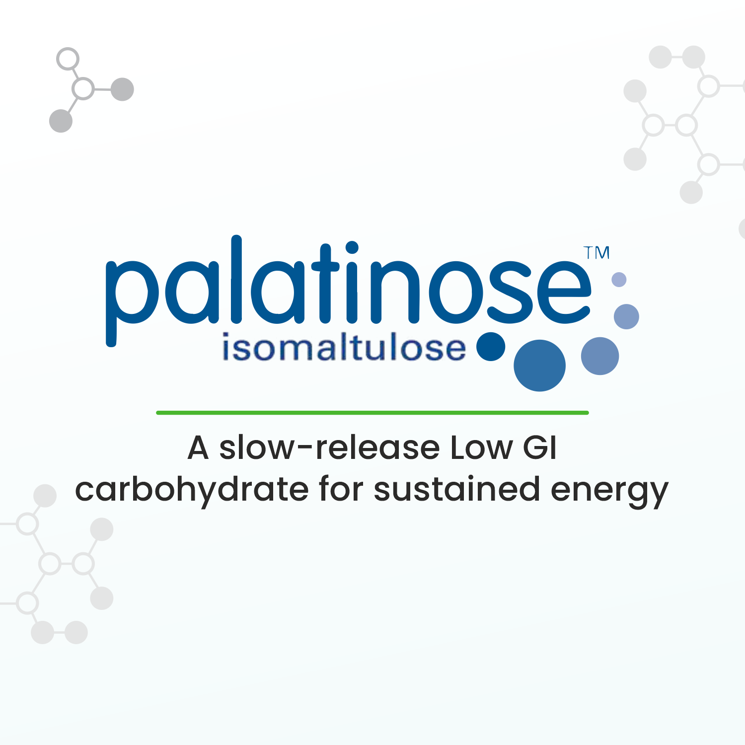 Palatinose™ Distributor India | High-Quality Supply – SFA India